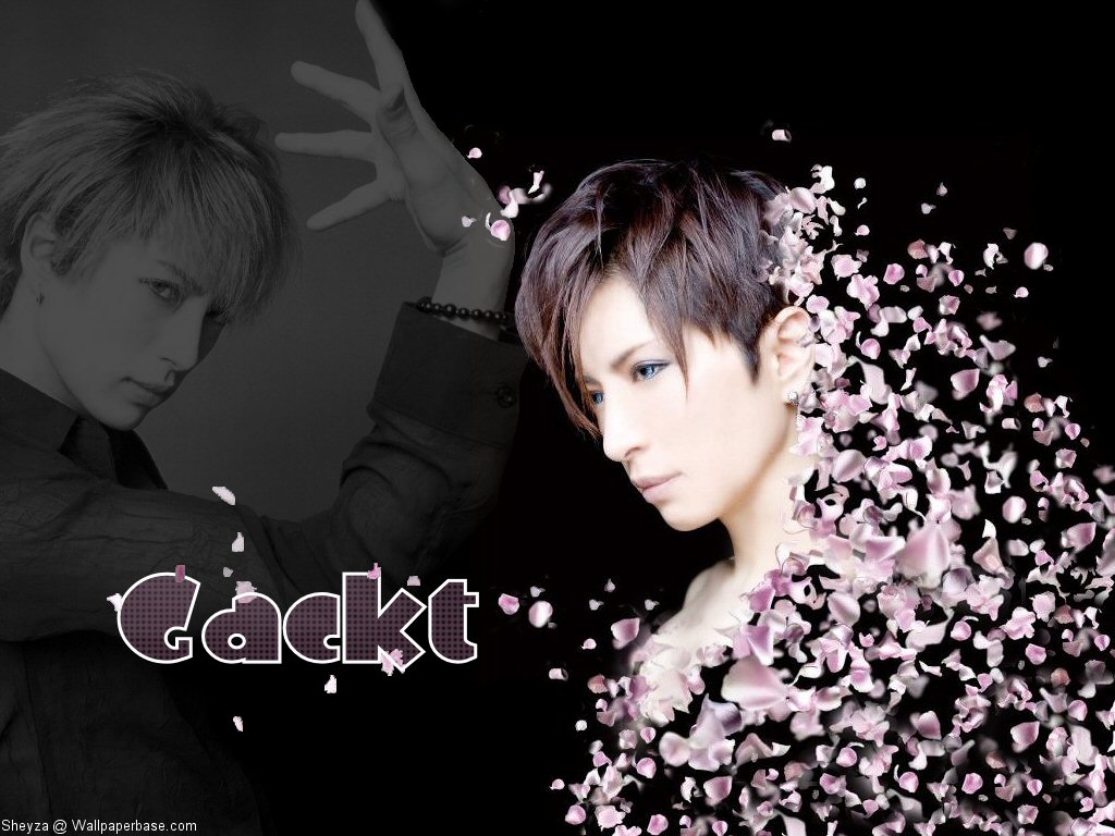Gackt 2 wallpaper